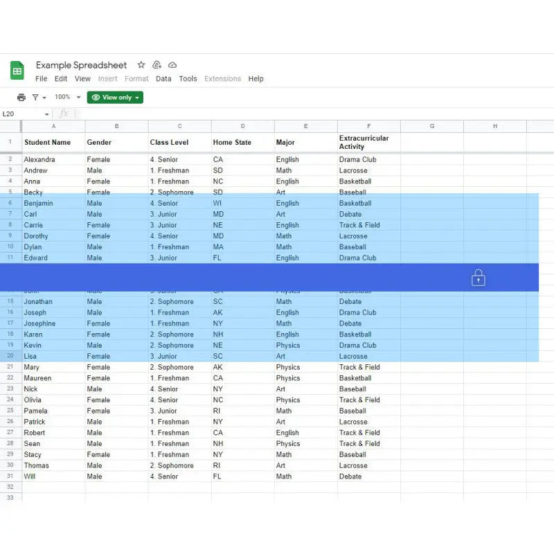 Tint and Track (Single Licence Download) | The Dyslexia Shop
