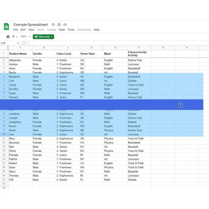 Tint and Track (Single Licence Download) | The Dyslexia Shop