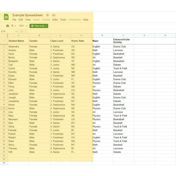 Tint and Track (Single Licence Download) | The Dyslexia Shop