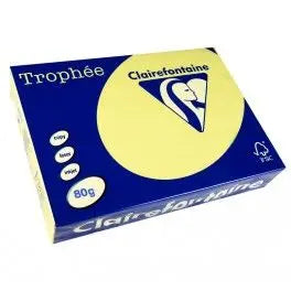 A3 80gsm Tinted Paper - Ream (500 S ... | The Dyslexia Shop